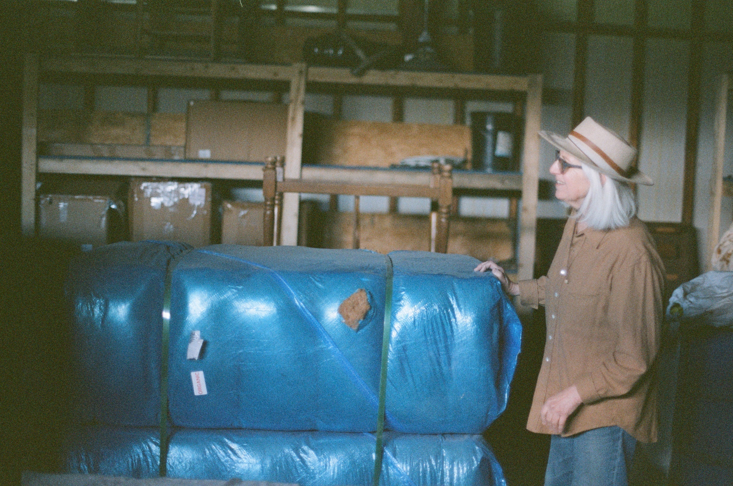 a portrait of Sally Fox, by Noah Johnson – evan kinori