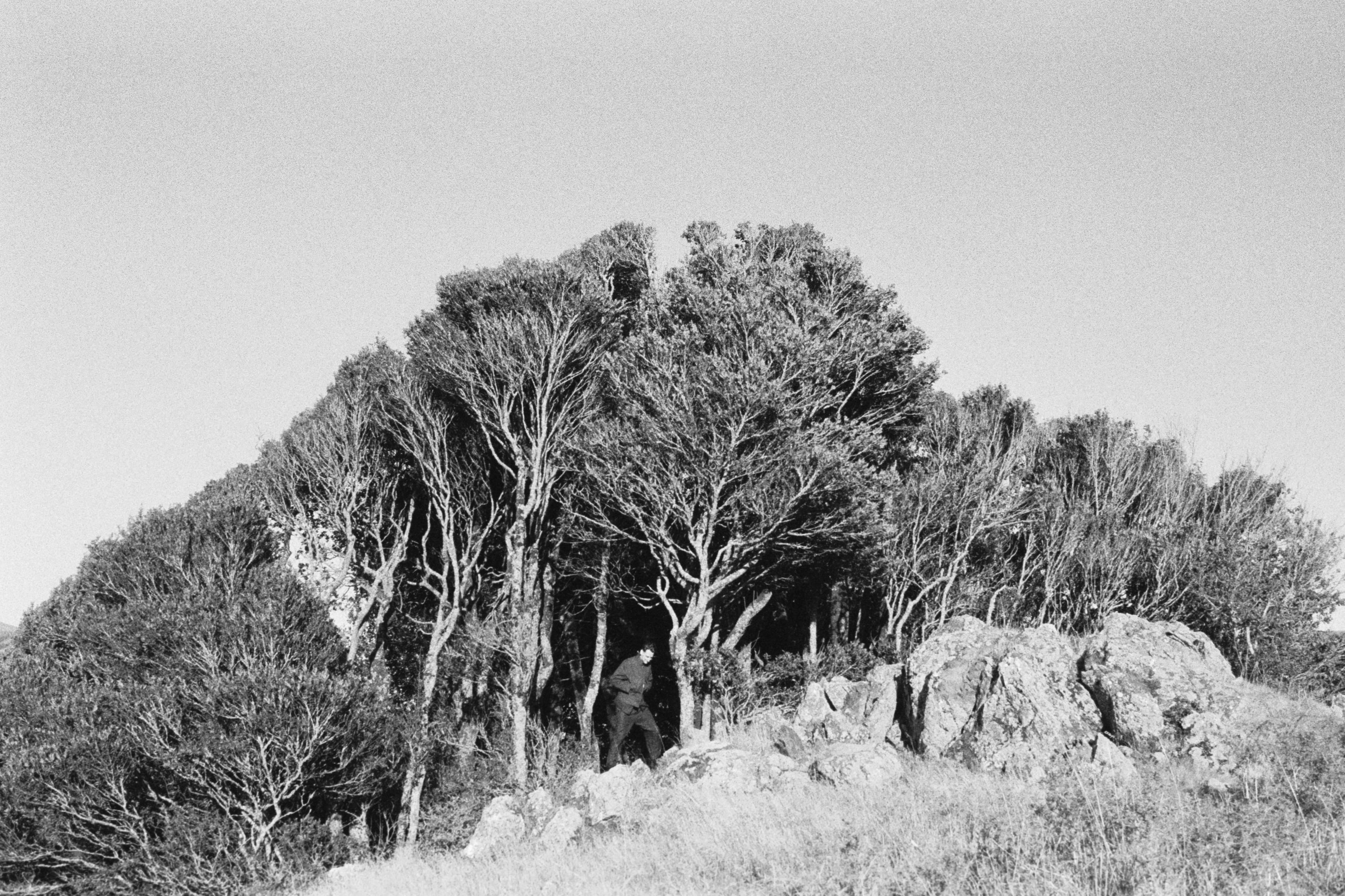 2019 – evan kinori