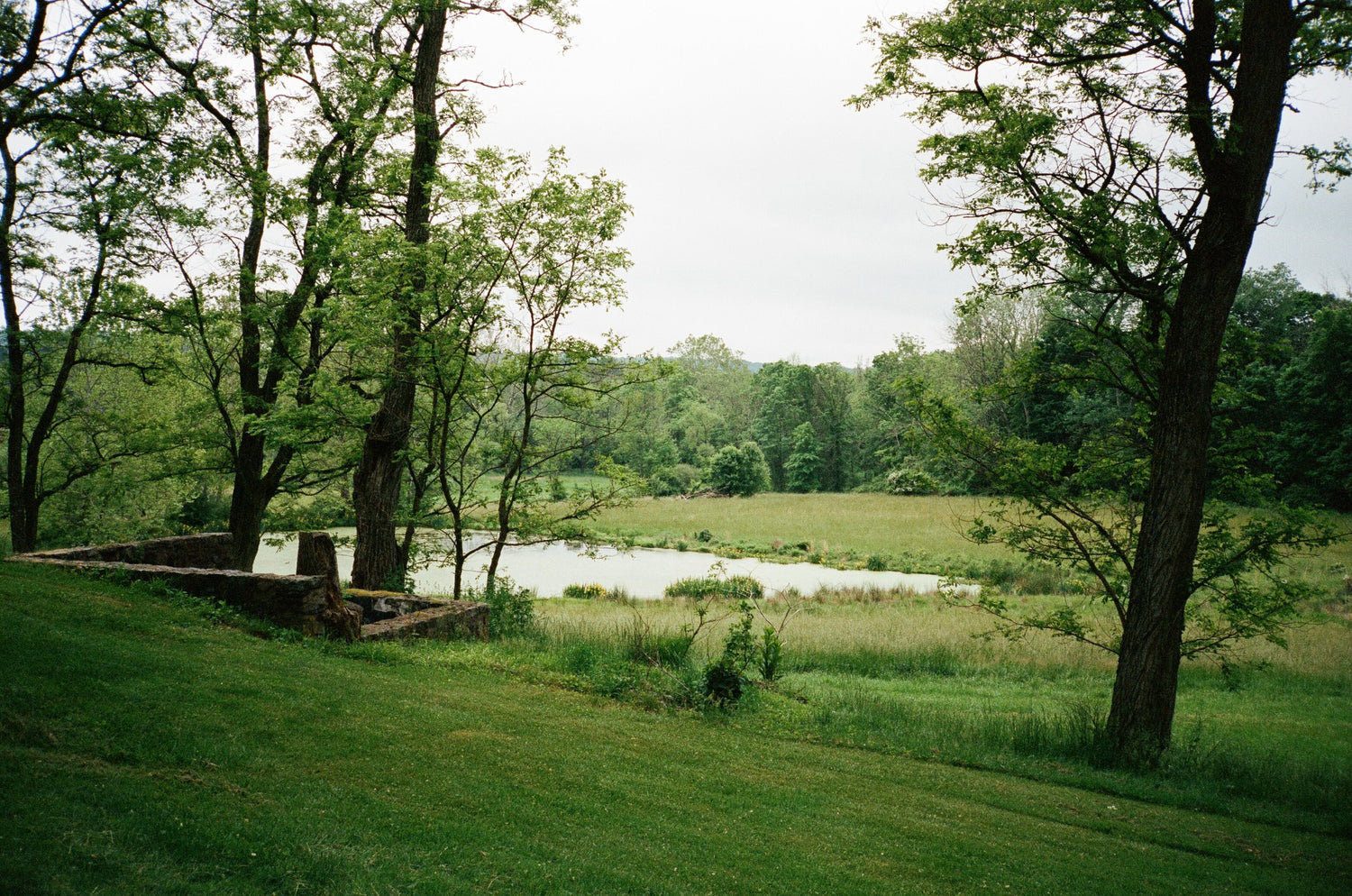 Raymond farm – evan kinori